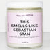 This Smells Like Sebastian Stan Candle – Cool Girl Candles